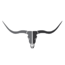 Austin Rugby Club – Established in 1967